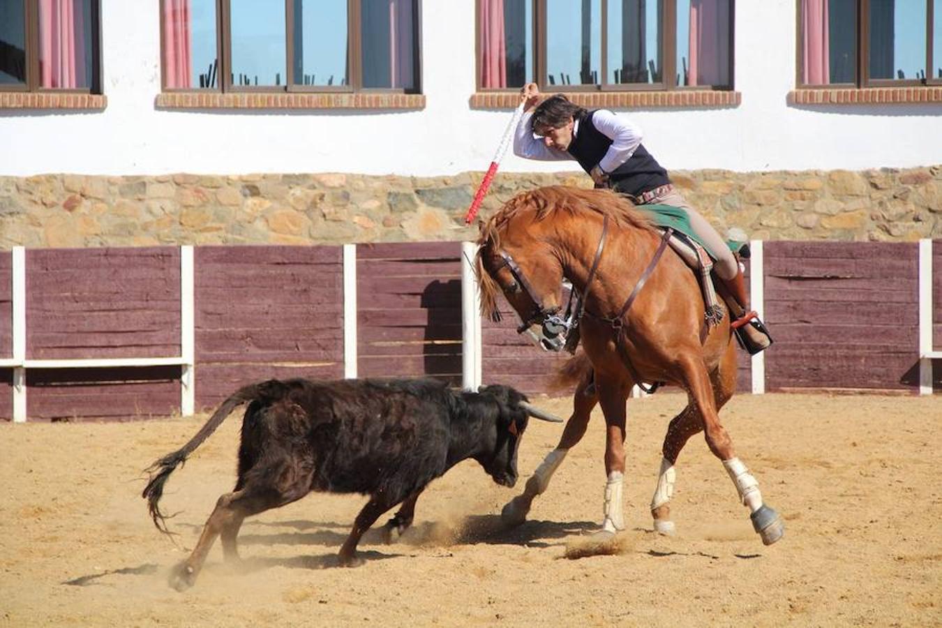 Fotos: Diego Ventura, al capote en Los Fresnos | Hoy